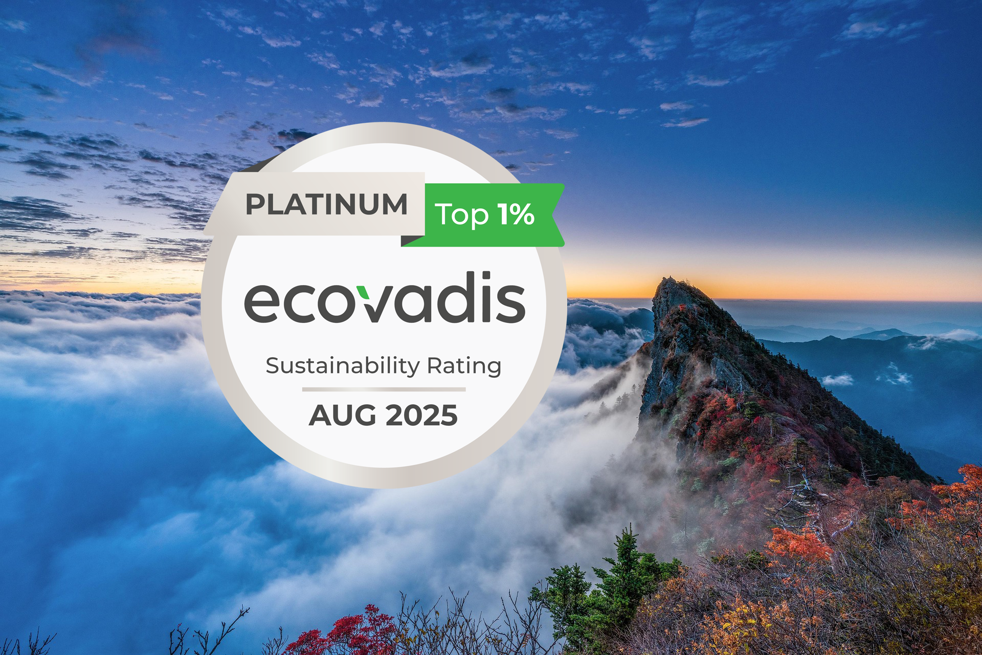 Mölnlycke awarded second consecutive EcoVadis Platinum medal for sustainability performance