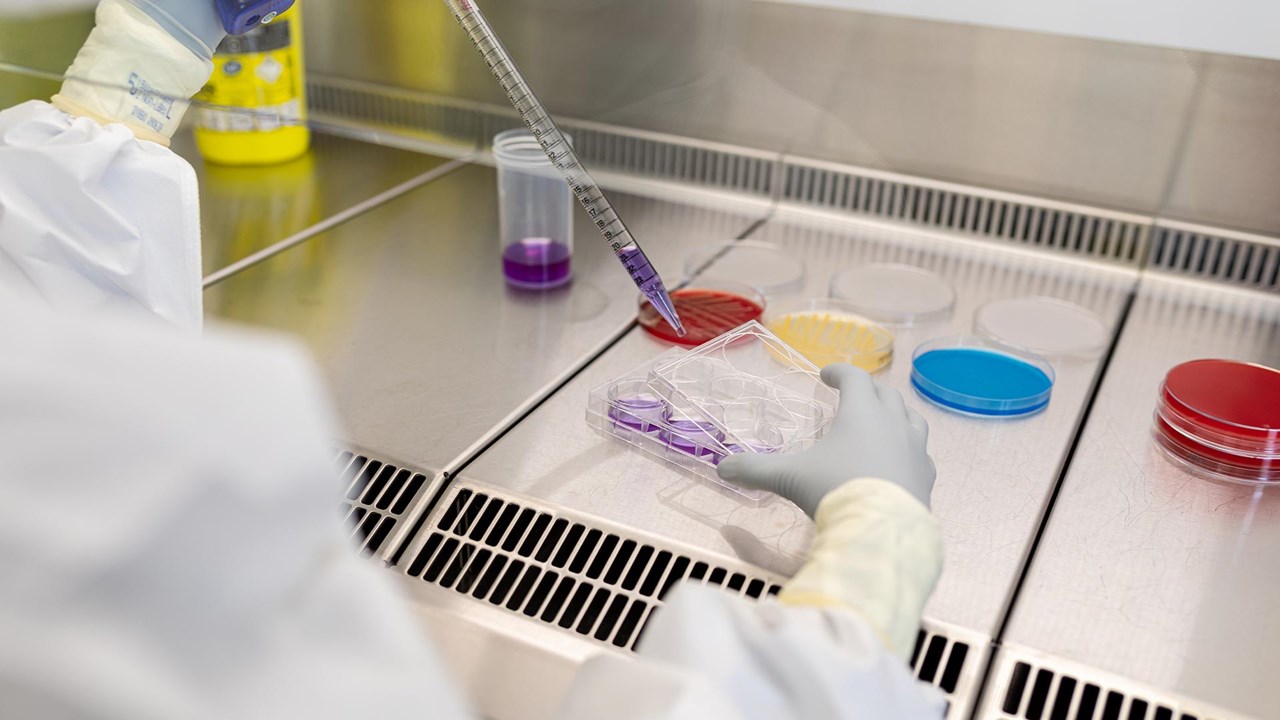 Biogel critical environment gloves